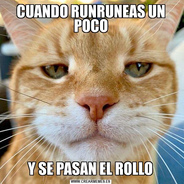 CUANDO RUNRUNEAS UN POCO Y SE PASAN EL ROLLO - Crear Memes Online
